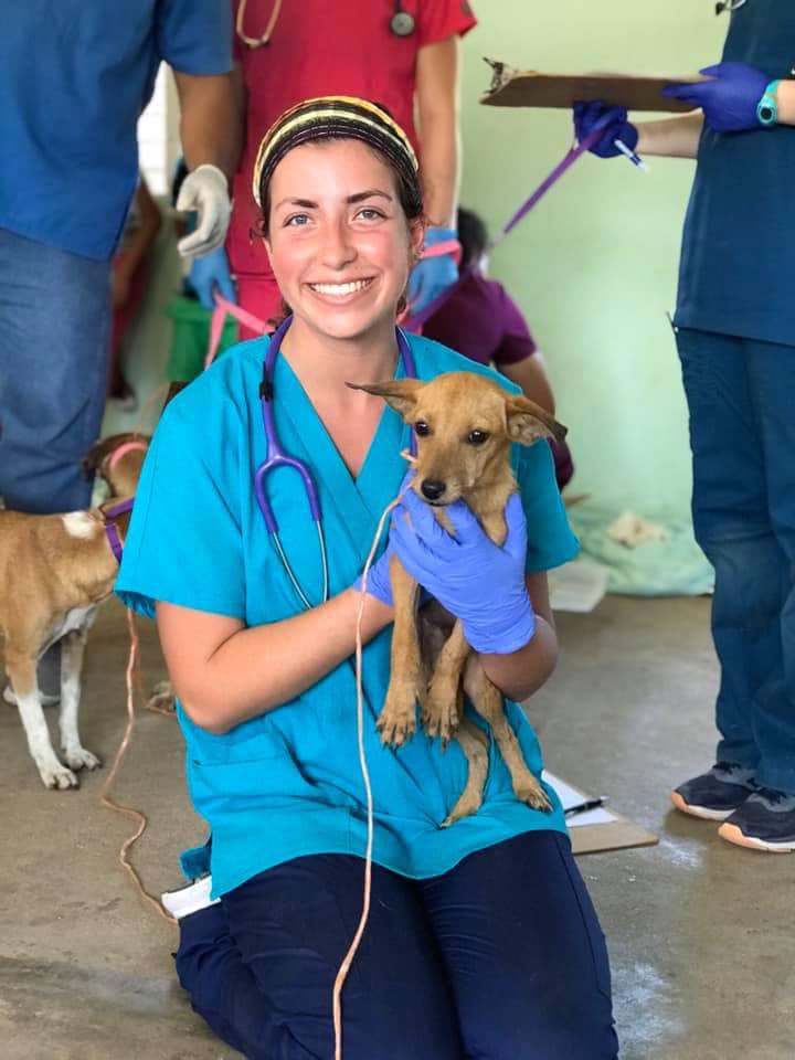 Professor Tillman's Group: Vet Tech in Belize - C.E.L.A. Belize